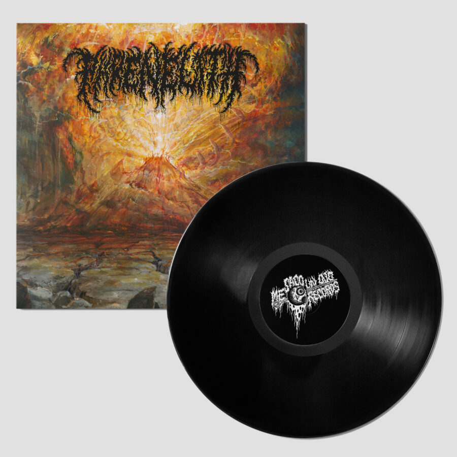 Phrenelith – Ashen Womb LP — Official DDR & MSUO EU Store